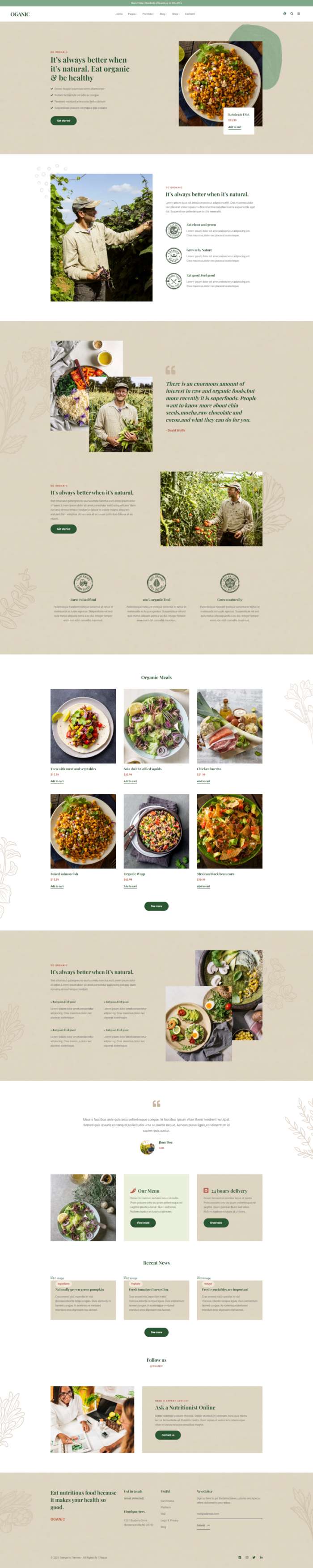 美食网页设计模板,有机食物商城网站下载 17素材网